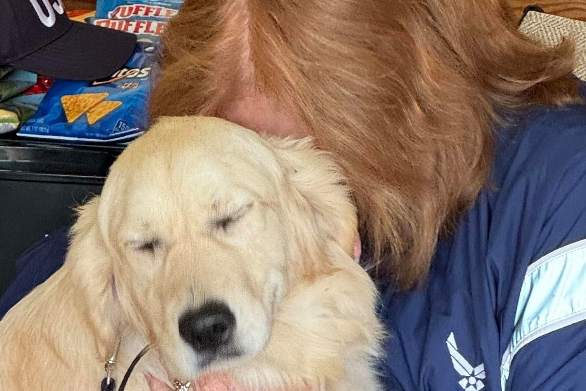 The Effects of PTSD on Veterans (And How Dogs Can Help)